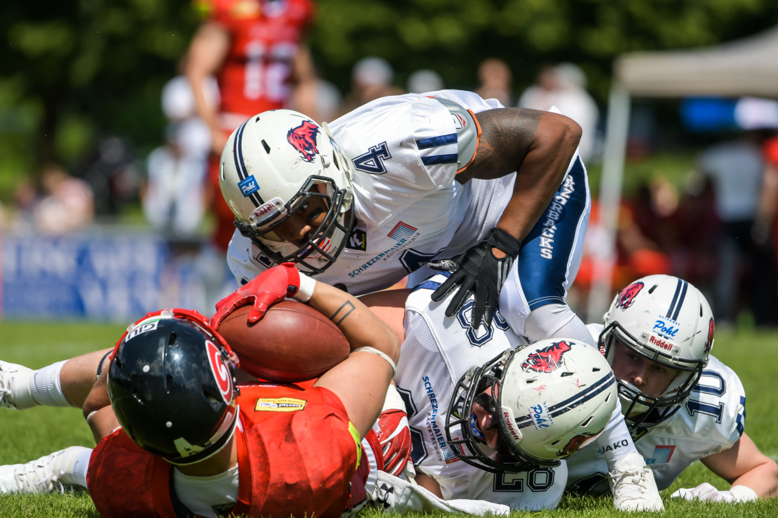 Razorbacks greifen nach der Tabellenführung – ifm Razorbacks